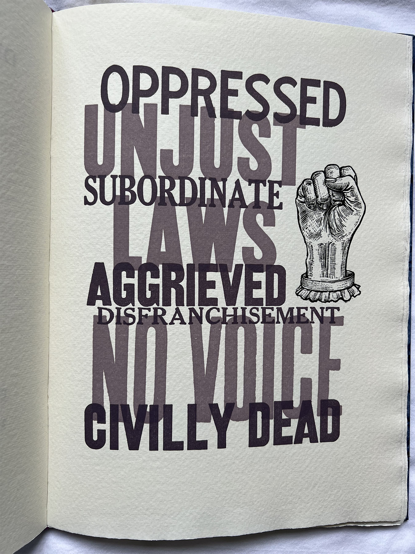 Declaration of Sentiments – Plain Wrapper Press Redux